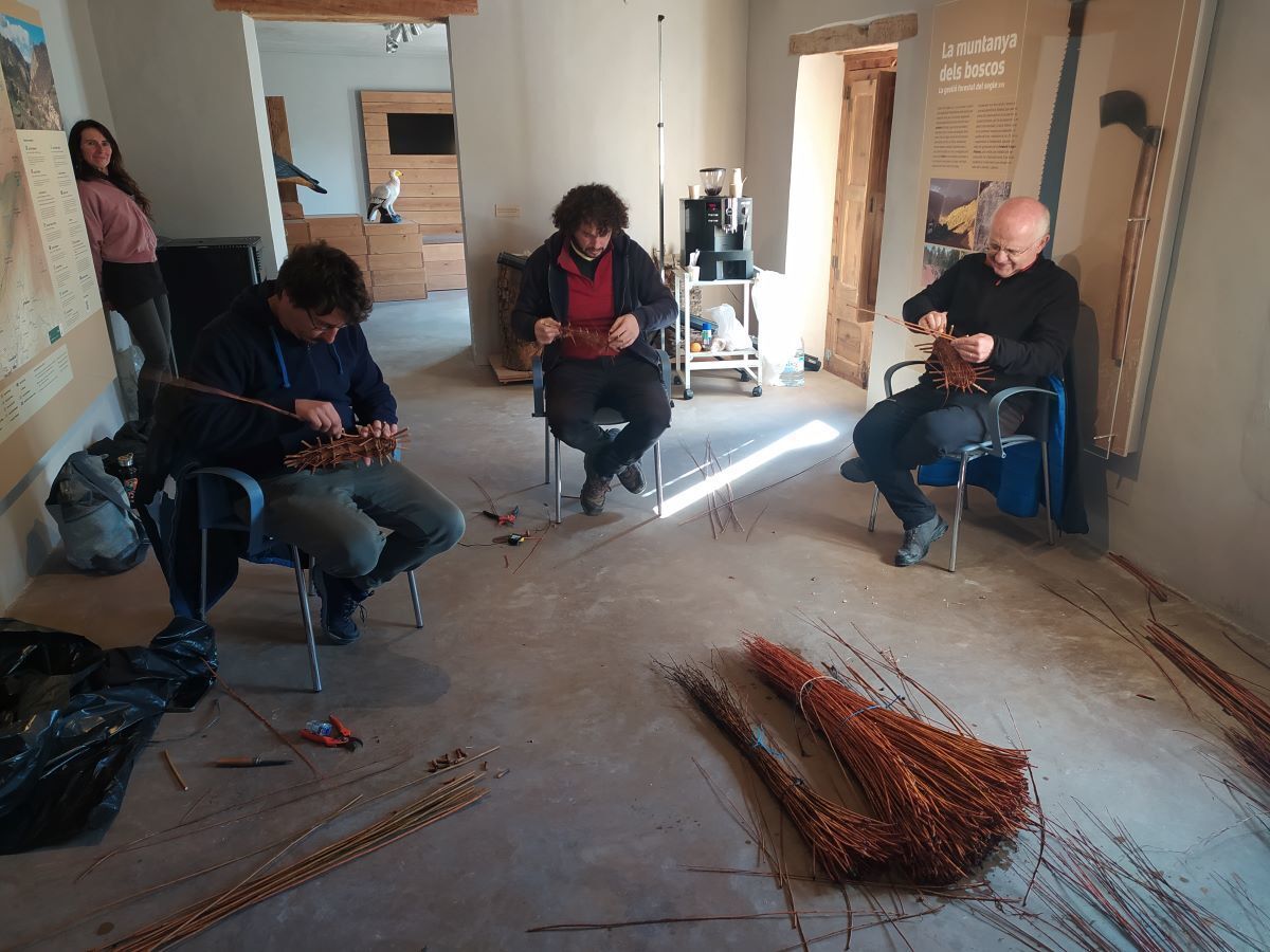 Els secrets del vímet, a la Vall d'Alinyà