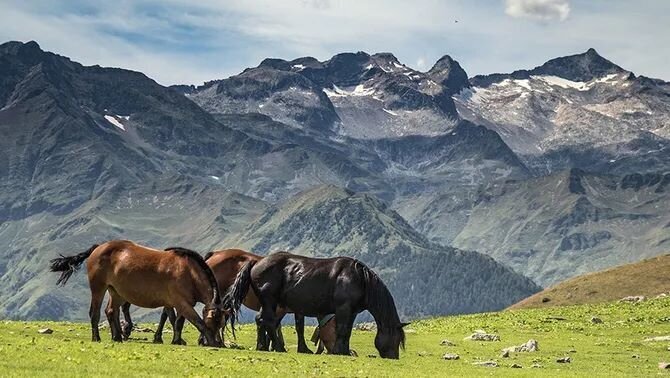 Era Val D Aran Ja Ei Oficiaument Res rva Dera Biosf ra Dera Unesco Era Val D Aran Ja Ei Oficiaument Res rva Dera Biosf ra Dera Unesco